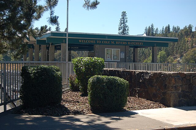 Cole Rivers Hatchery